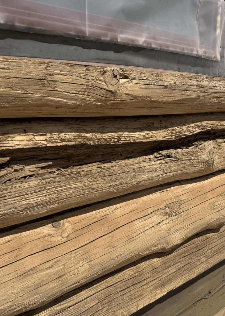 Rot Repair – Knaughty Log
